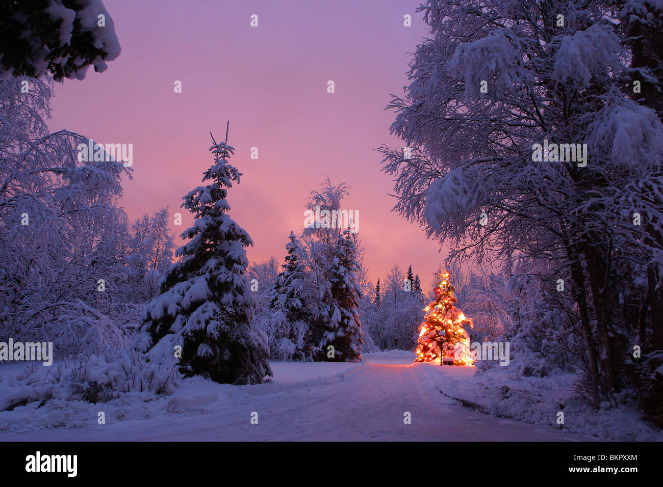 Anchorage digital High Resolution Stock Photography and Images - Alamy