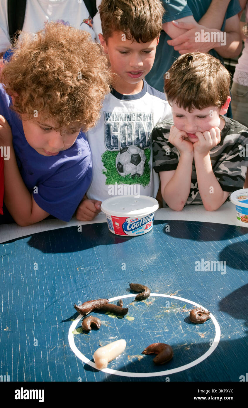 Children watch their slugs at the 2009 Blueberry Arts Festival annual ...