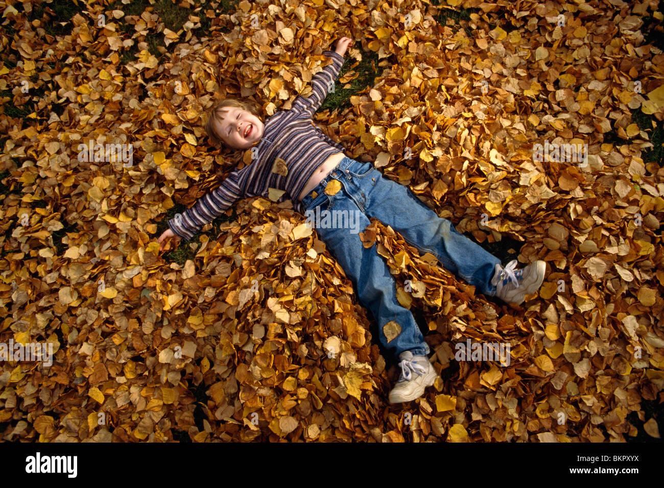 Child Making Angels in Fallen Leaves Anchorage AK Autum w & w/o child ...