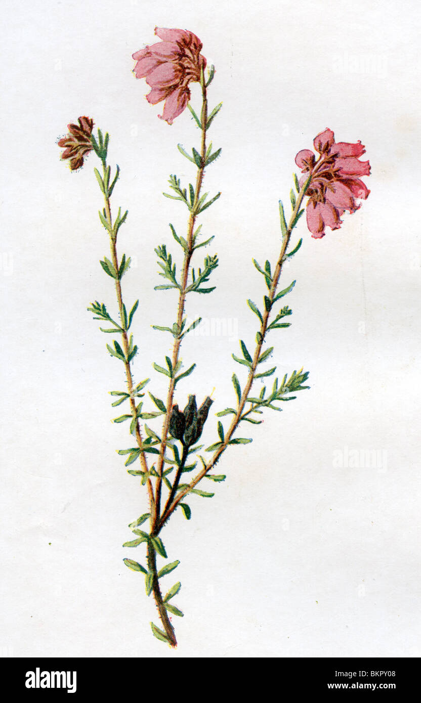 Cross heath hi-res stock photography and images - Alamy