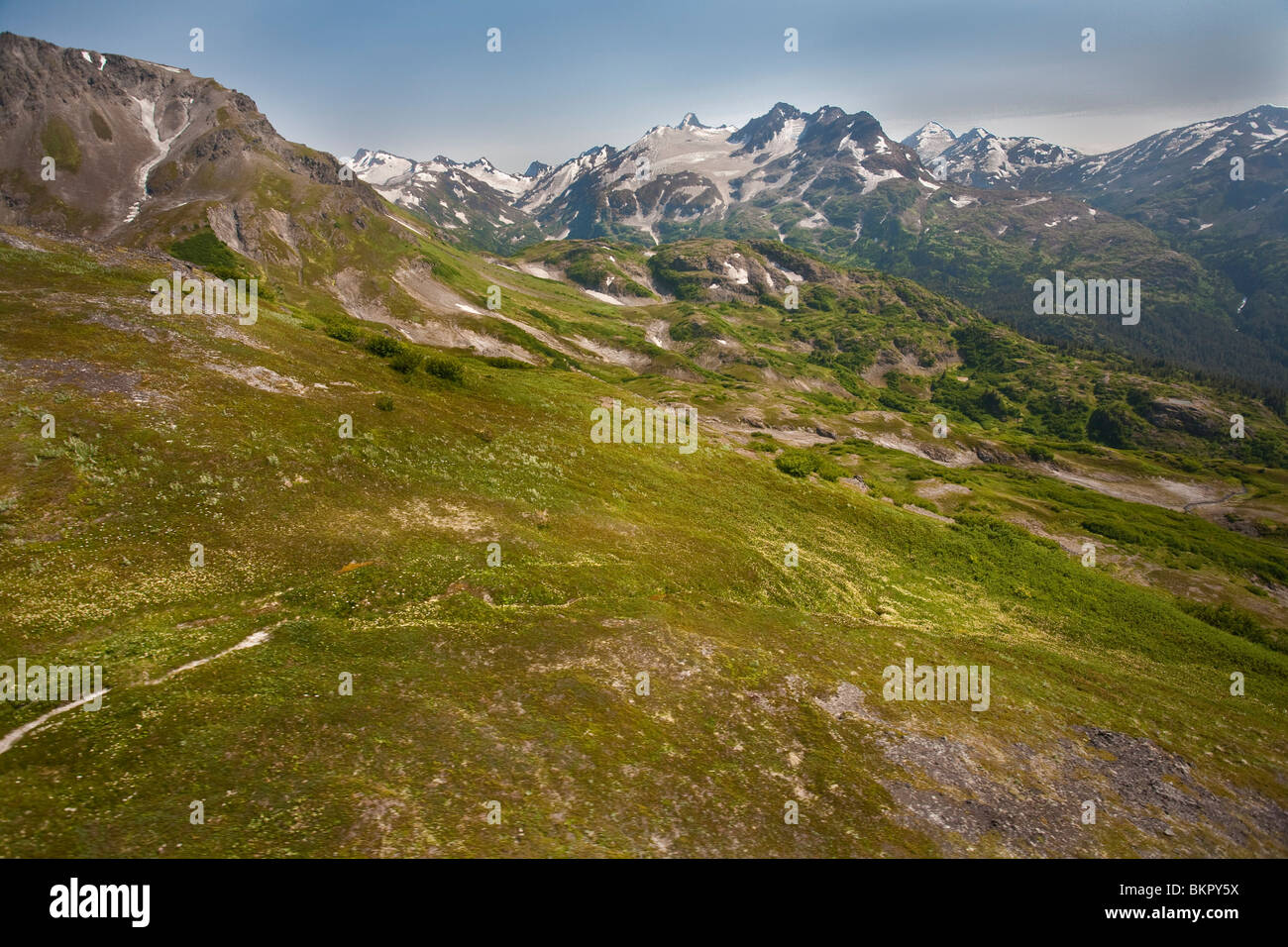 Tundra landscape alaska hi-res stock photography and images - Alamy