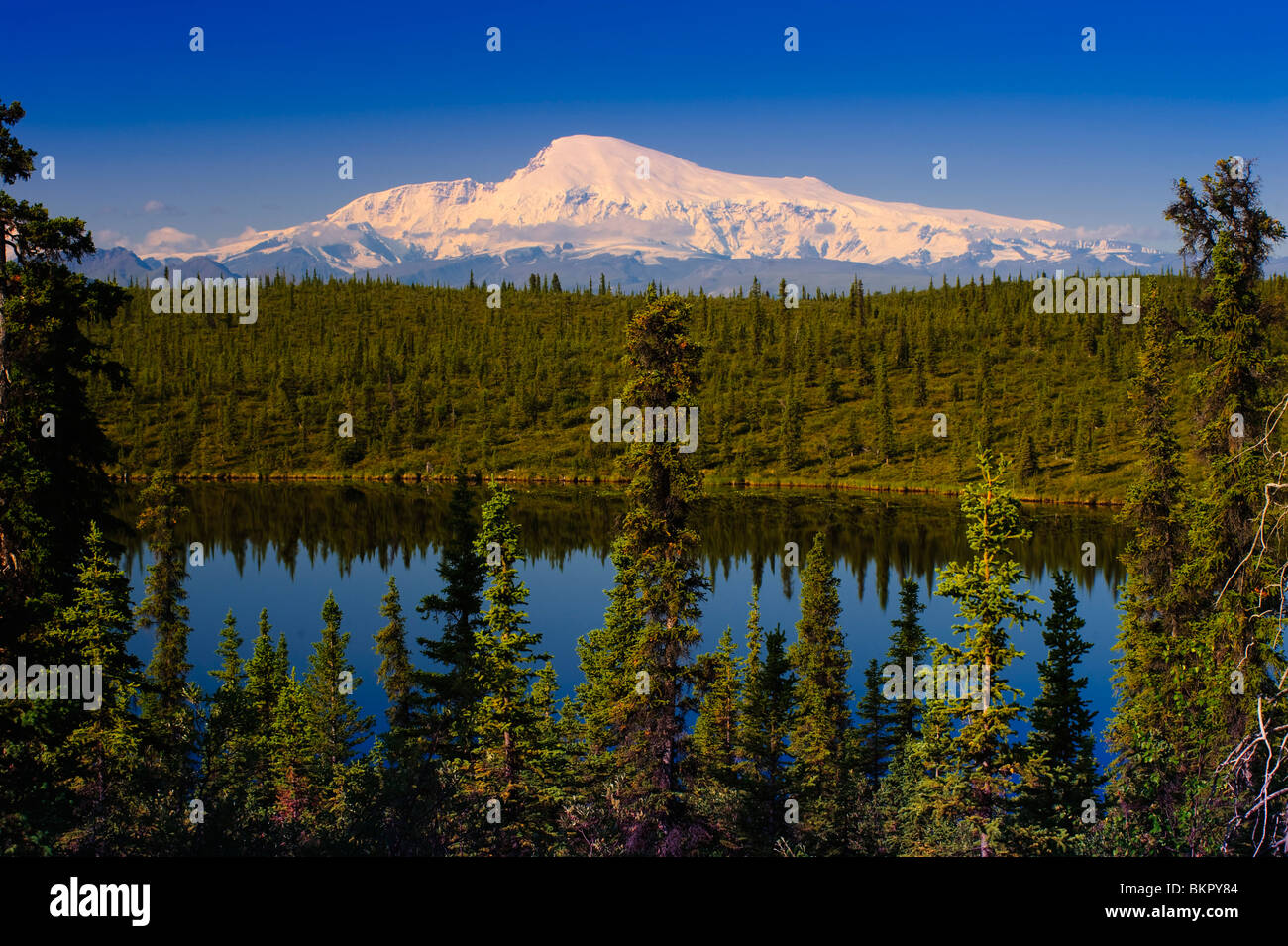 View of Mount Sanford from Long Lake, Wrangell Saint Elias National ...
