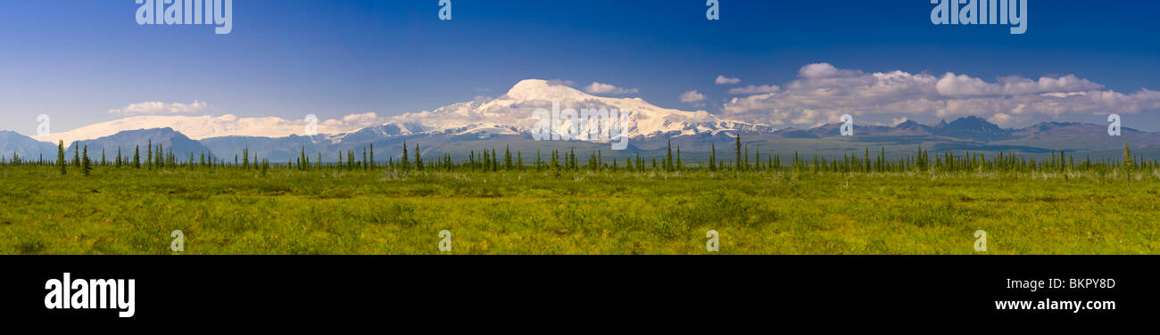 Panorama view of Mount Sanford and Mount Wrangell as seen from the ...