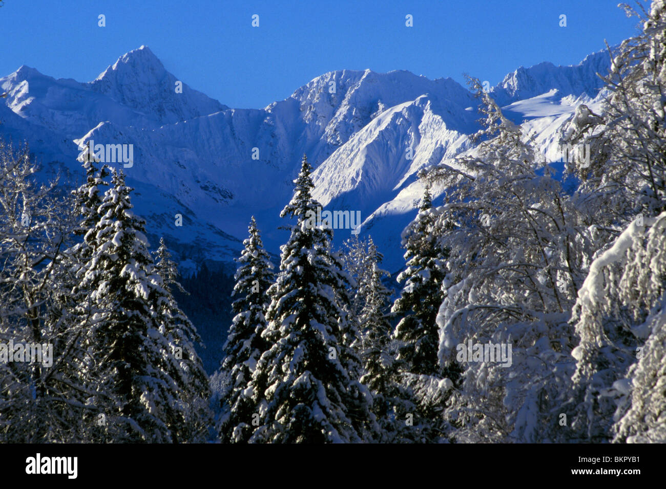 Alsek range hi-res stock photography and images - Alamy