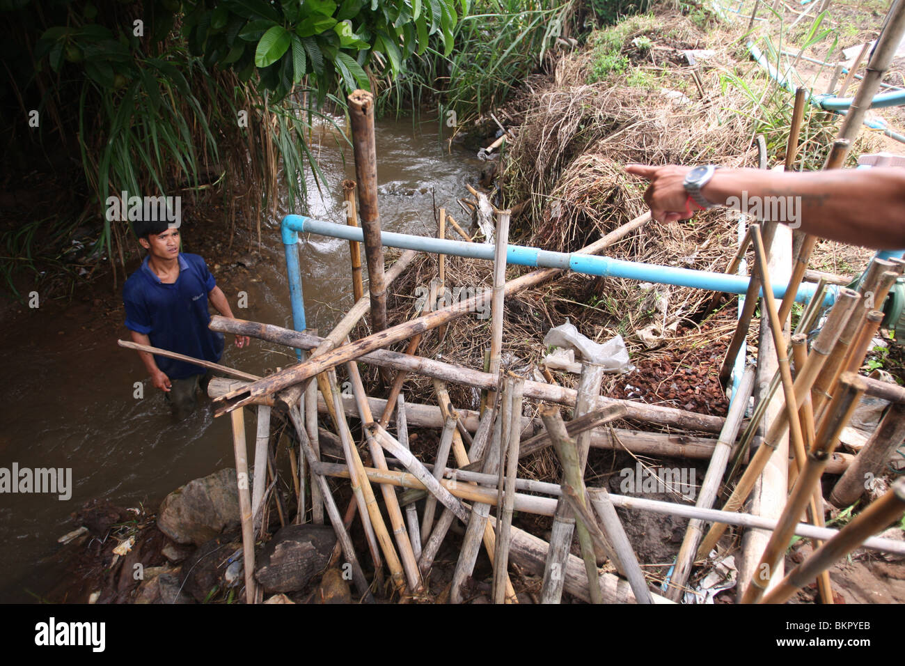 Labor migrant hi-res stock photography and images - Alamy