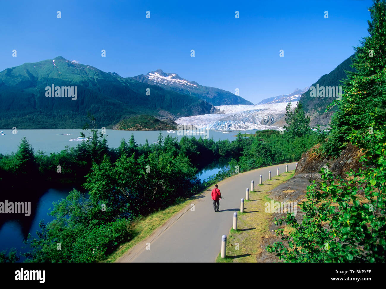 Visitor walks along path by Mendenhall Lake with Mendenhall Glacier in ...