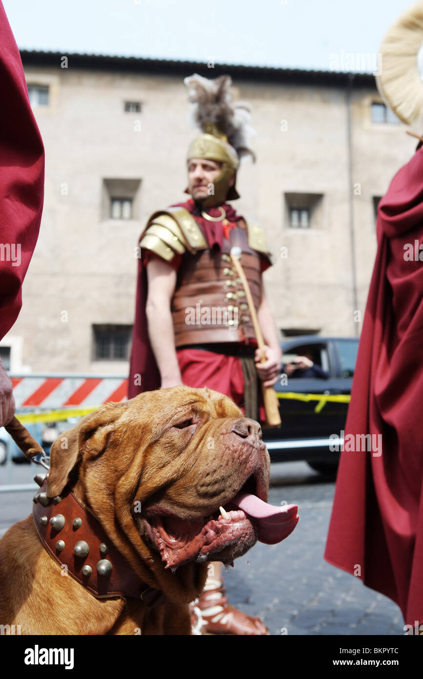 Male roman reenactor hi-res stock photography and images - Alamy