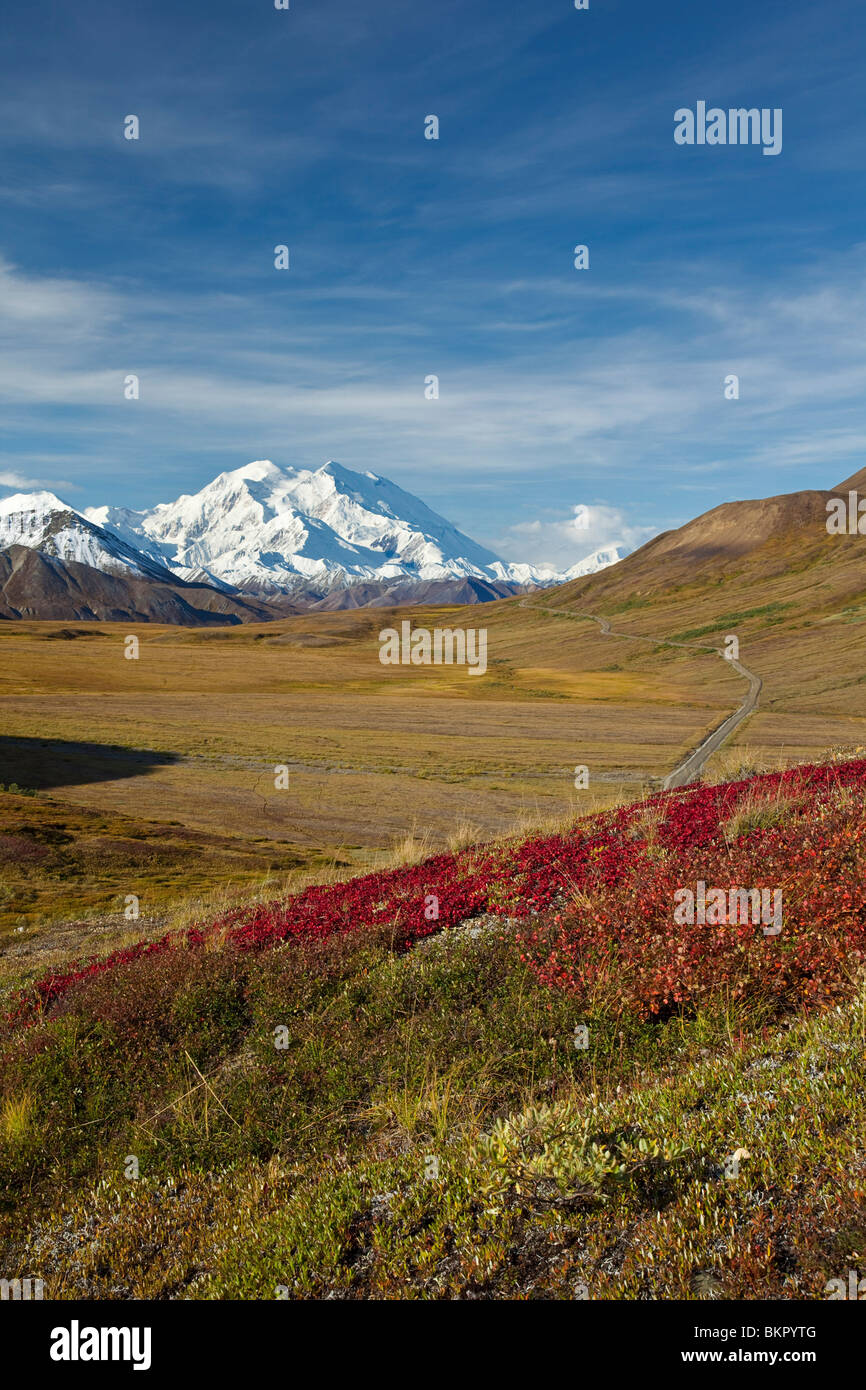 Mt. McKinley and the Park road from Stony Pass with colorful foliage ...
