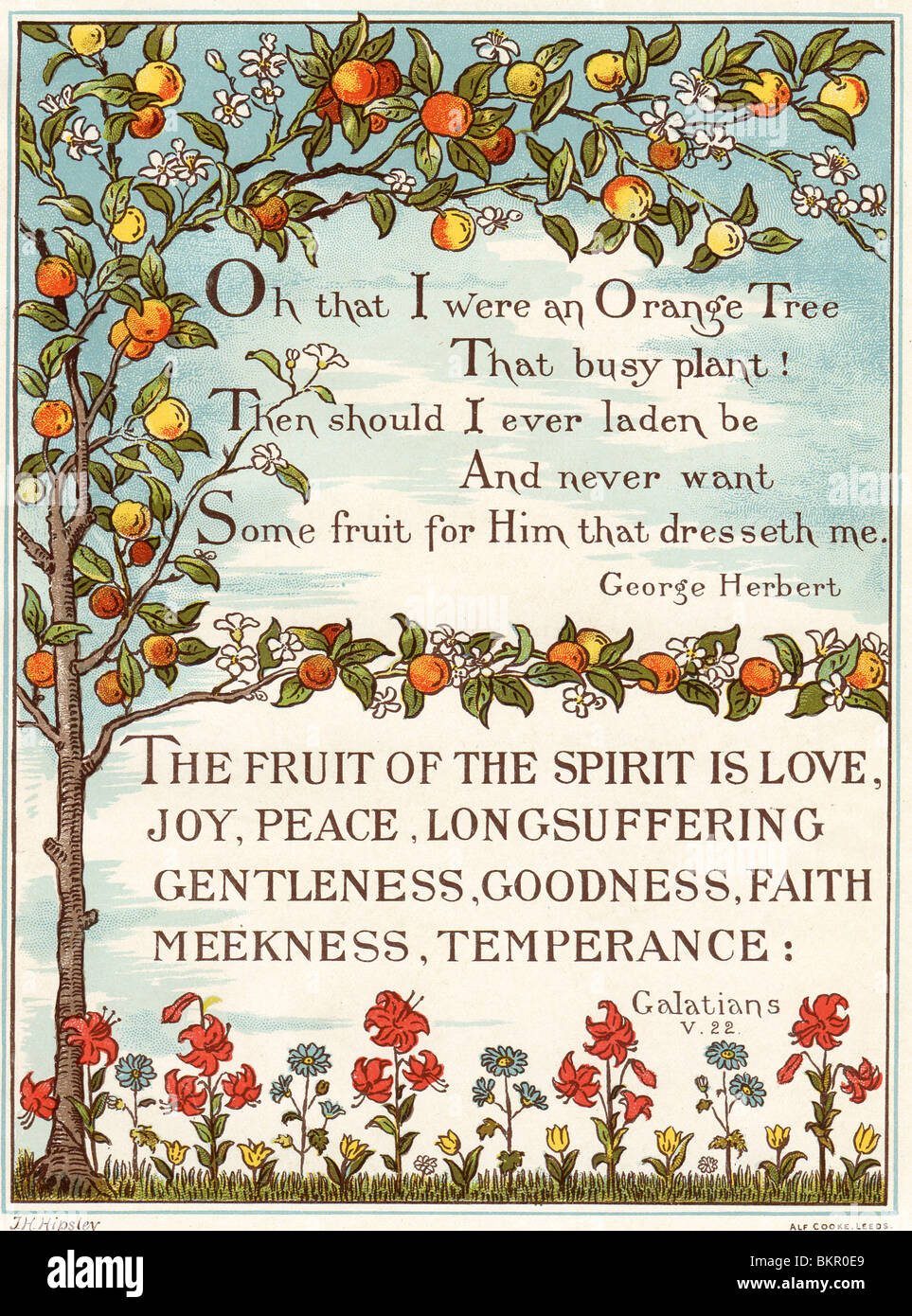 The Orange Tree Stock Photo - Alamy