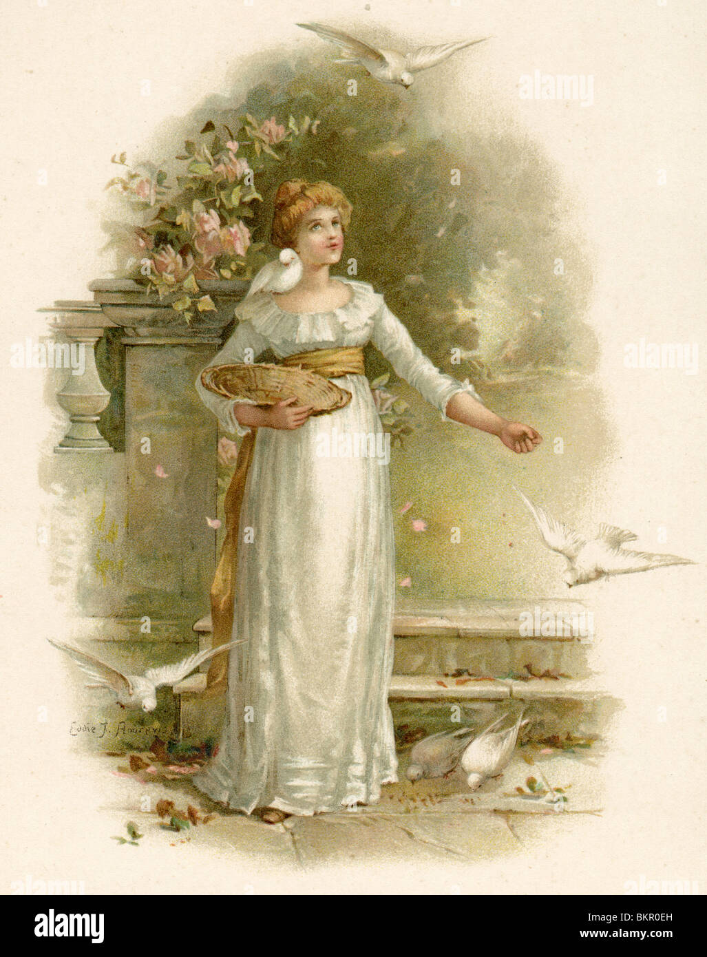 Woman Feeding the Doves Stock Photo - Alamy