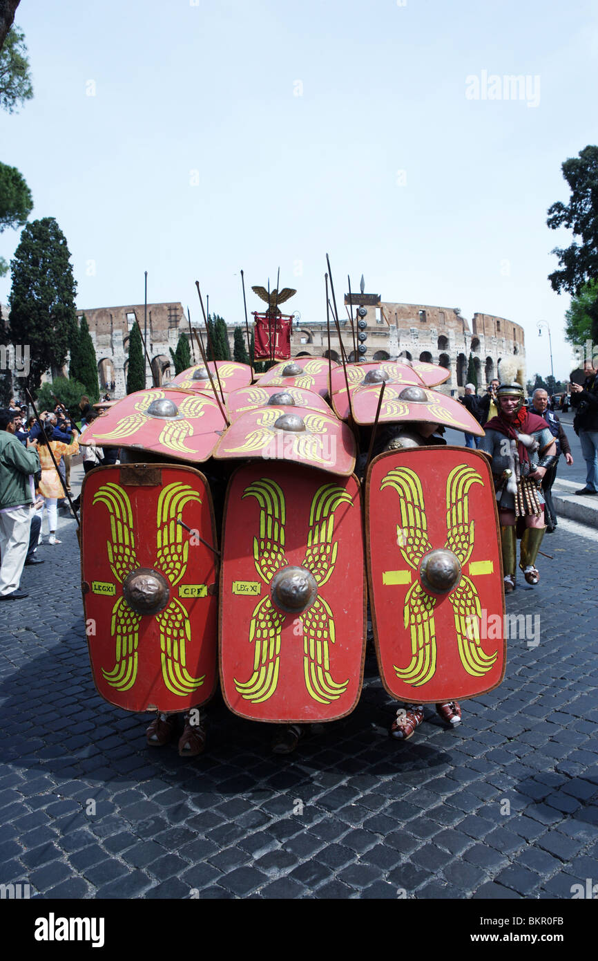 Roman tortoise hi-res stock photography and images - Alamy