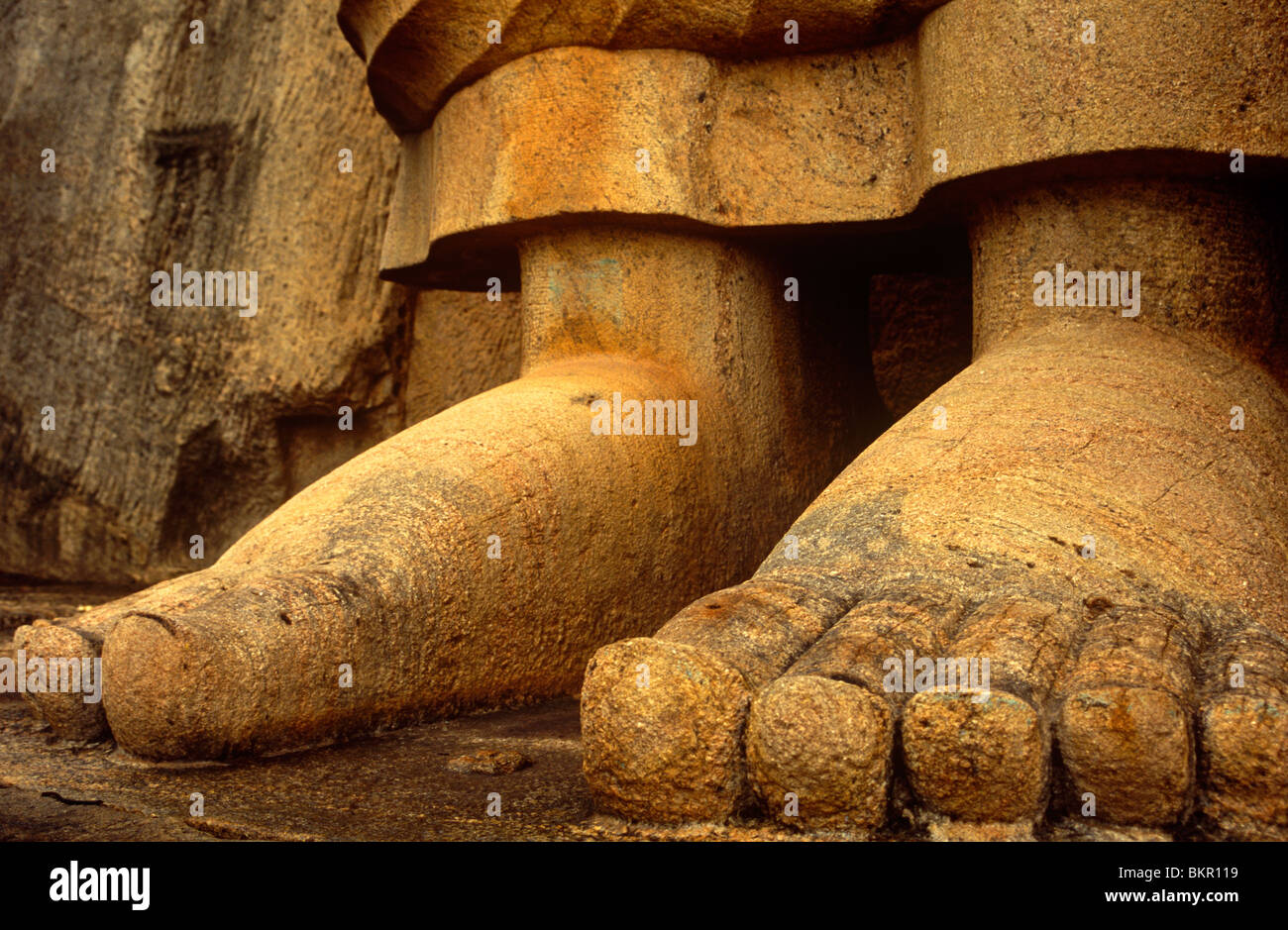 Sri Lanka, Aukana. Carved from a single slab of rock, the 12-metre high ...