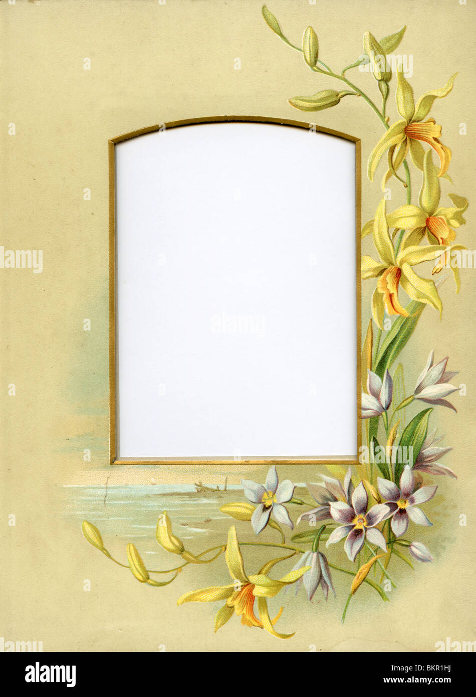 Victorian Photograph Frame with Orchid Flower Detail Stock Photo - Alamy