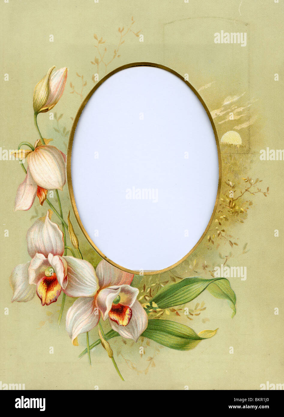Victorian orchids hi-res stock photography and images - Alamy
