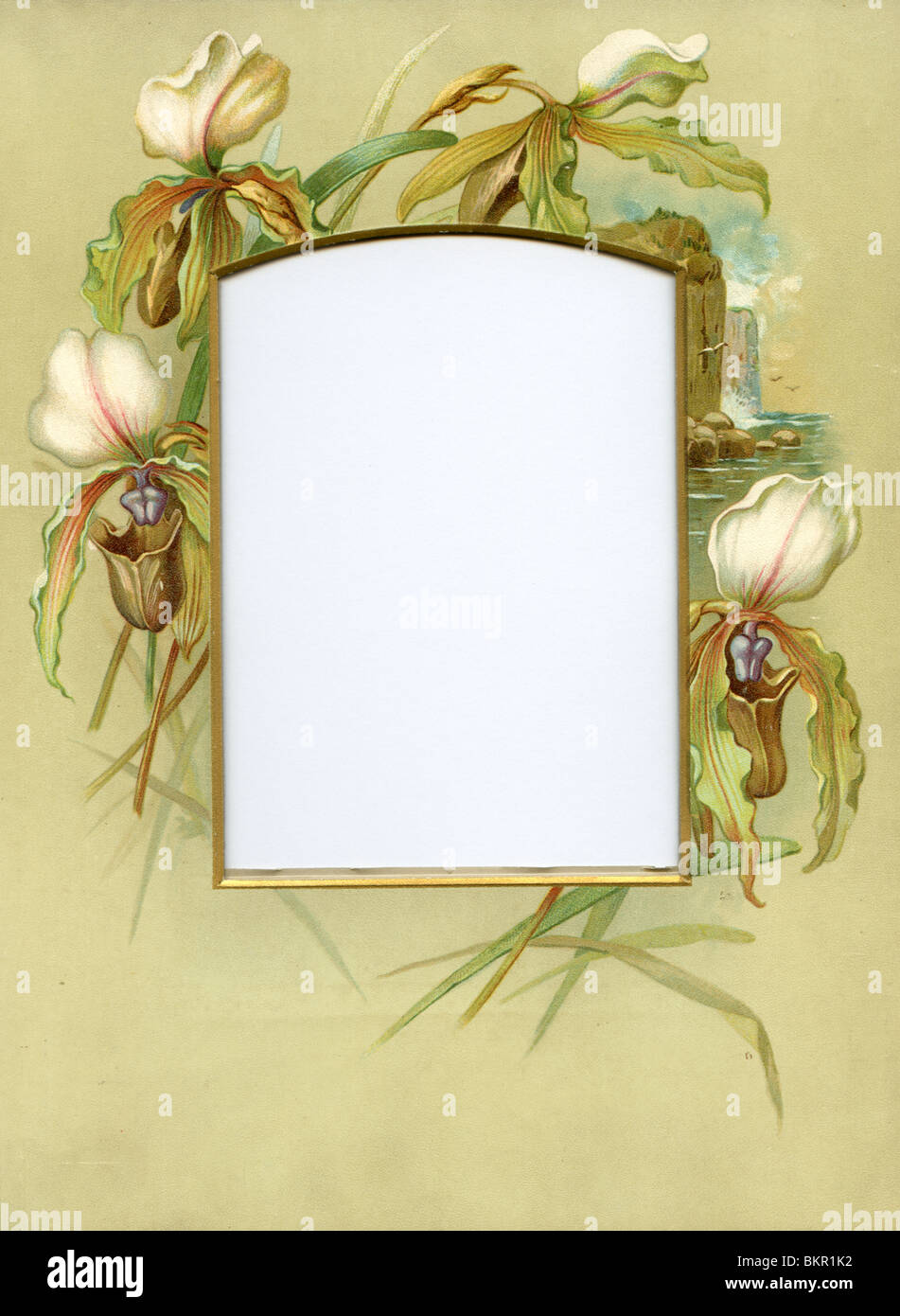 Victorian Photograph Frame with Orchid Flower Detail Stock Photo - Alamy