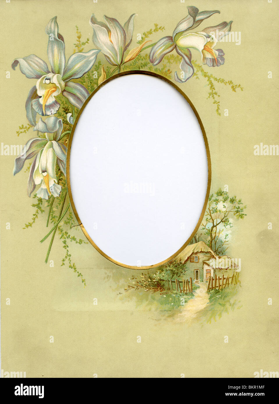 Victorian Photograph Frame with Orchid Flower Detail Stock Photo - Alamy