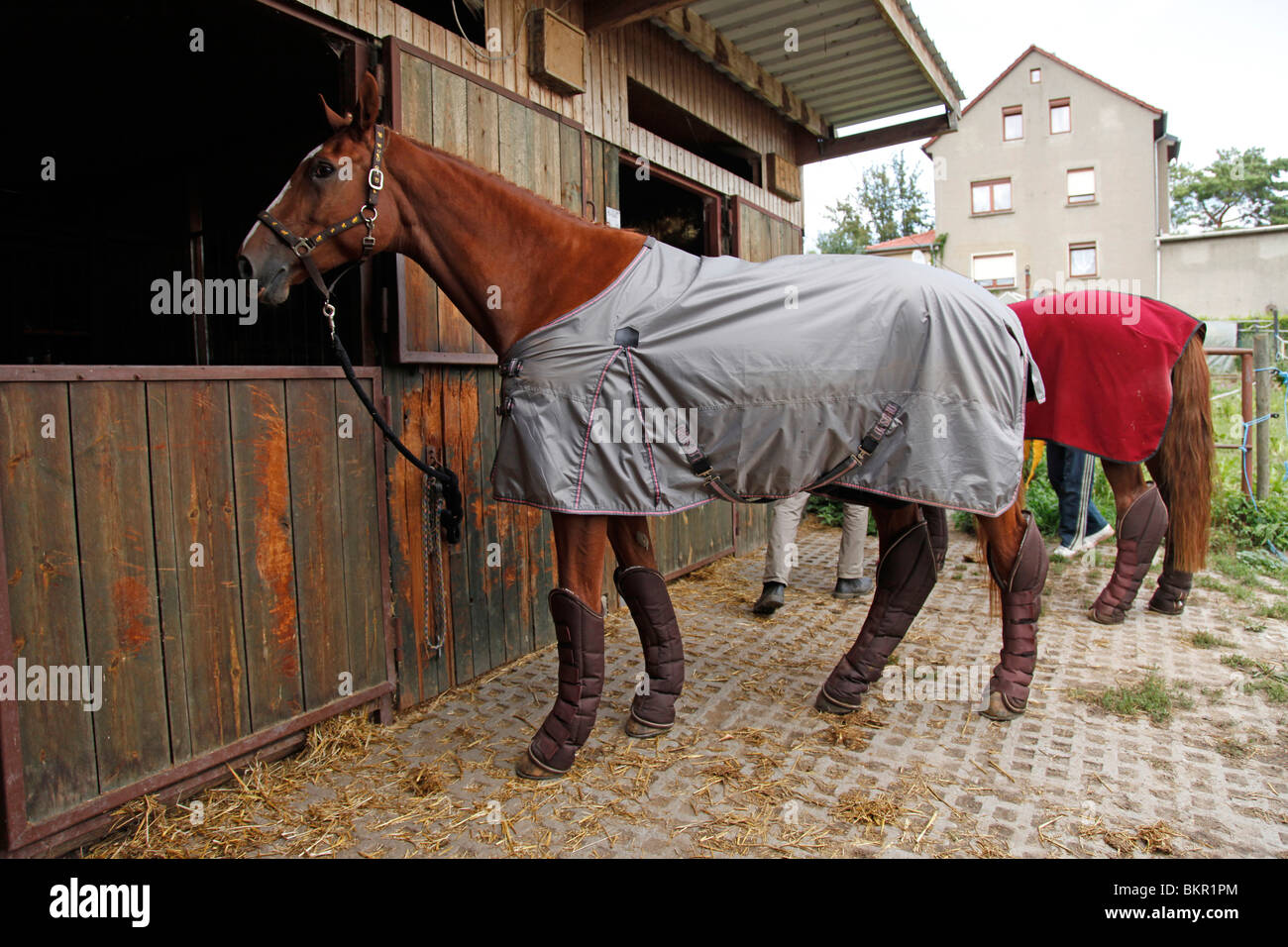 Pferdestall hi-res stock photography and images - Alamy