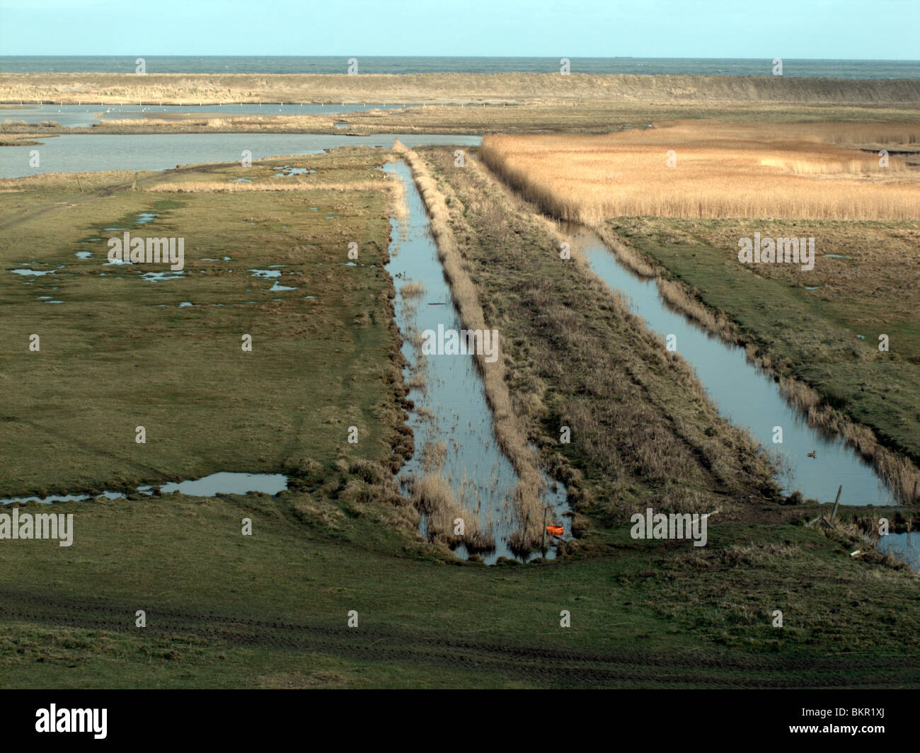 Cley Marshes, North Norfolk, Norfolk Wildlife Trust reserve, UK, March ...