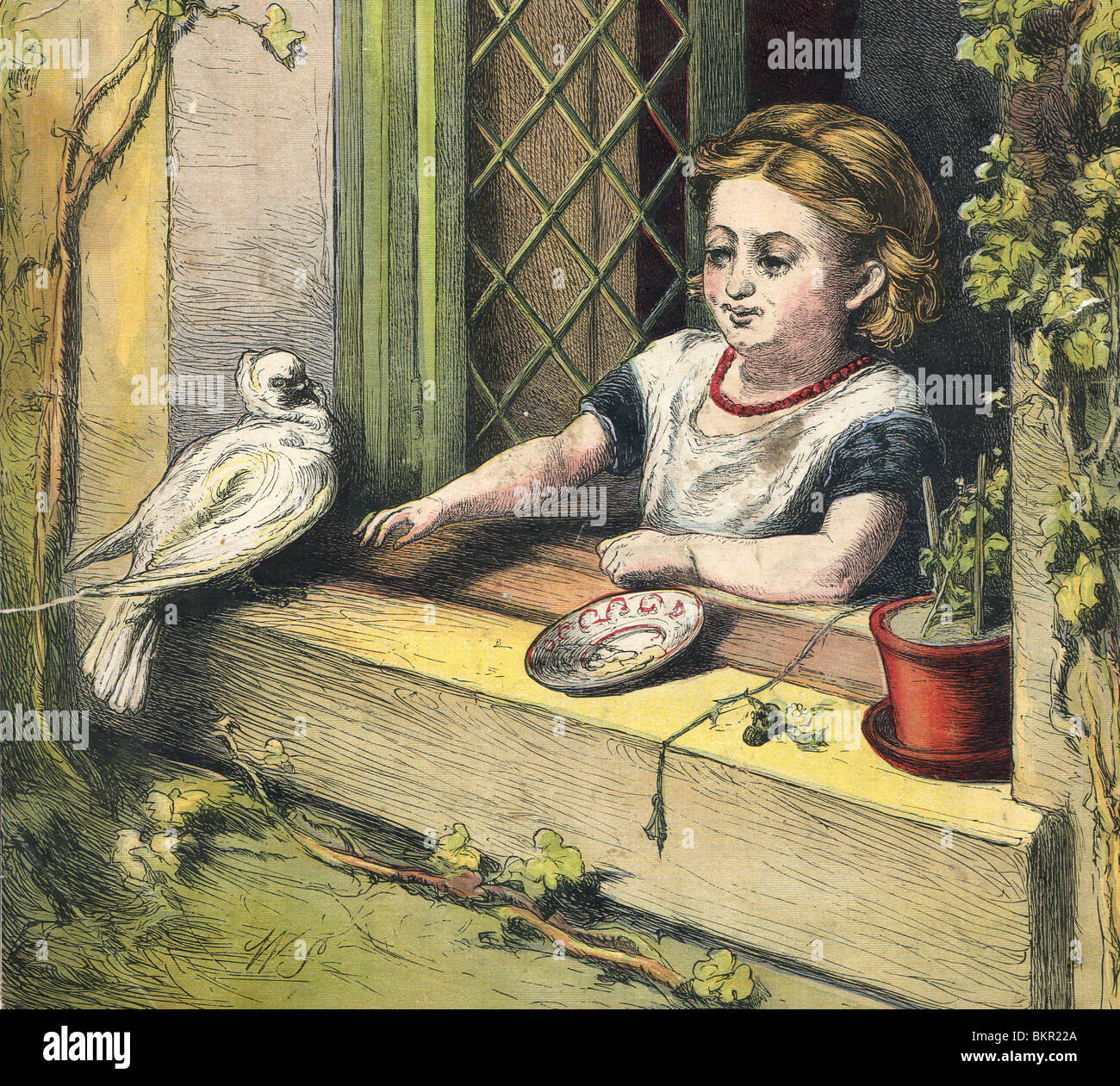 Girl Feeding thr Birds out of the Window Stock Photo - Alamy