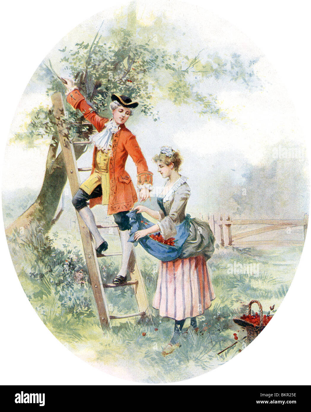 Couple Collecting Fruit from the fruit tree Stock Photo - Alamy