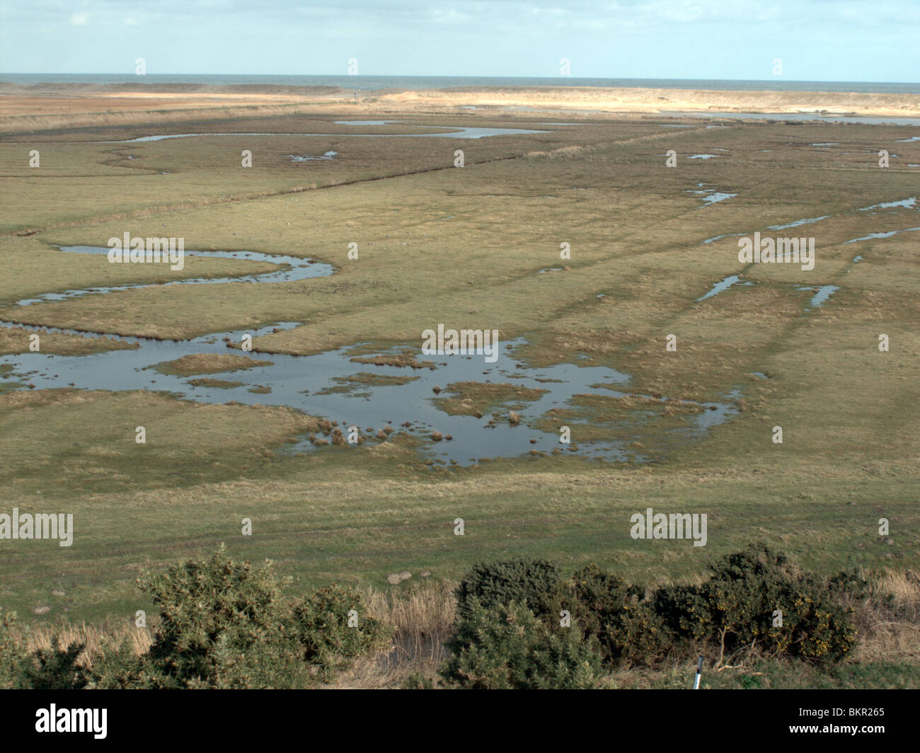 Cley Marshes, North Norfolk, Norfolk Wildlife Trust reserve, UK, March ...