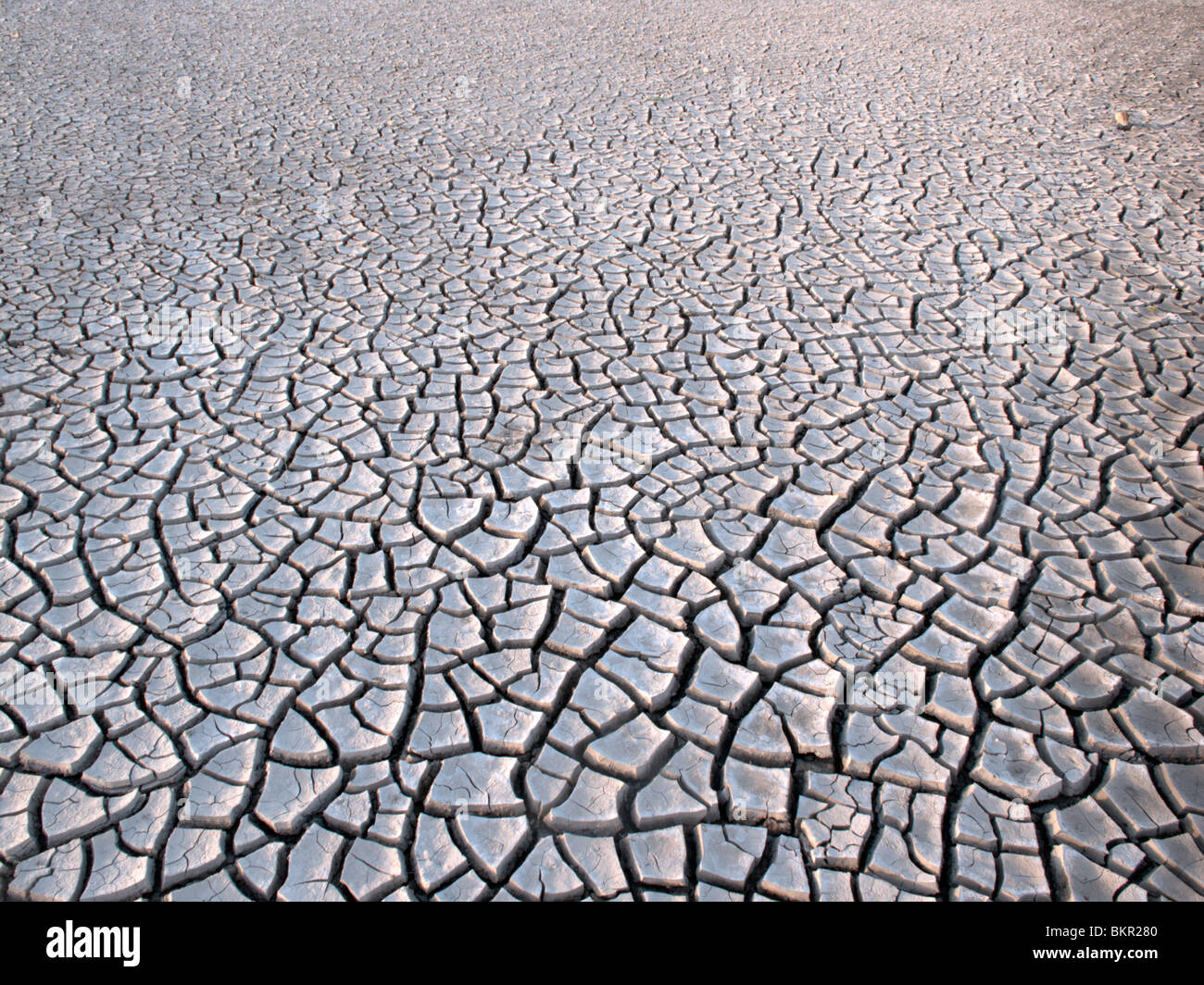 Mud drying and cracking, Spain, April 2010 Stock Photo - Alamy