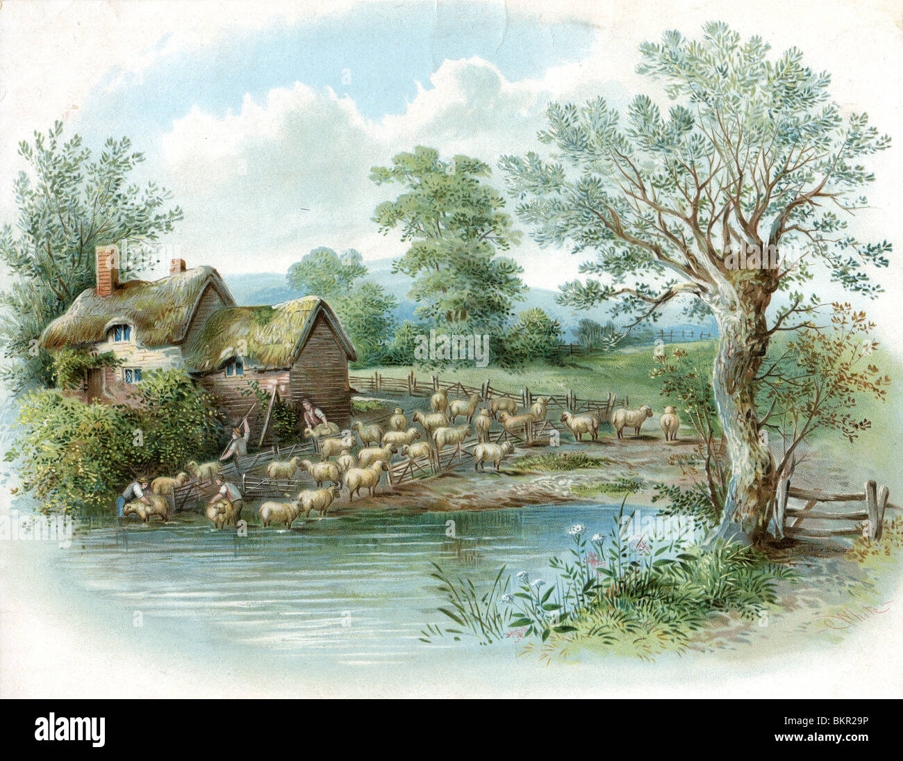 Animal cottage hi-res stock photography and images - Alamy