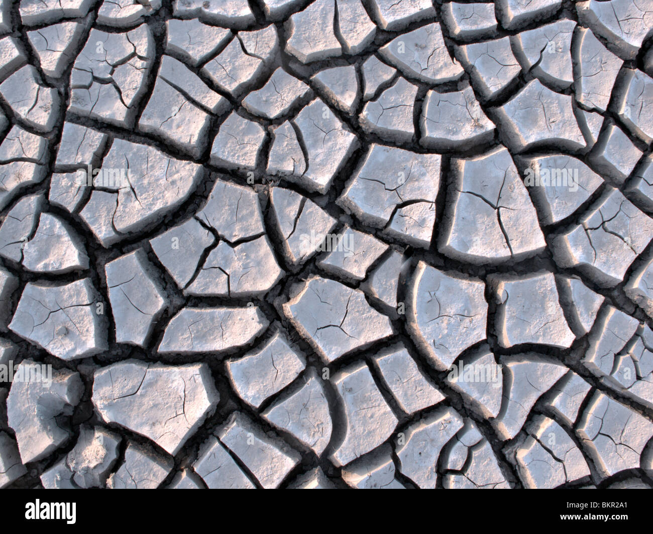 Drying mud hi-res stock photography and images - Alamy