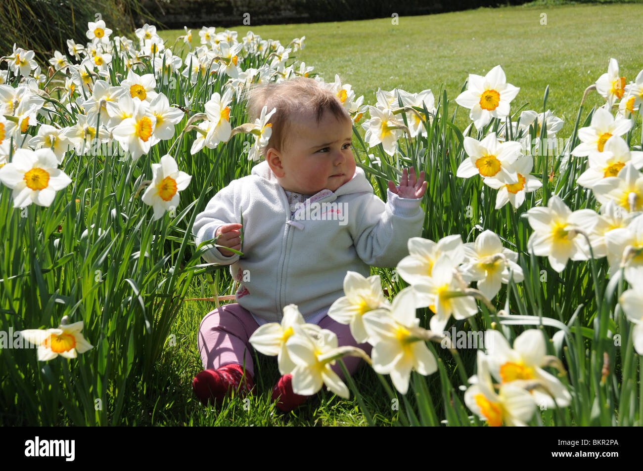 toddler in flowers Stock Photo - Alamy