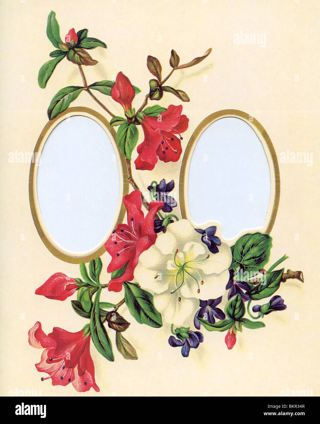Decorative floral Photo Frame with Foliage Stock Photo - Alamy