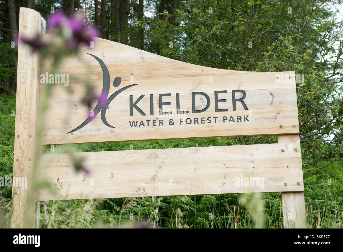 Kielder park hi-res stock photography and images - Alamy