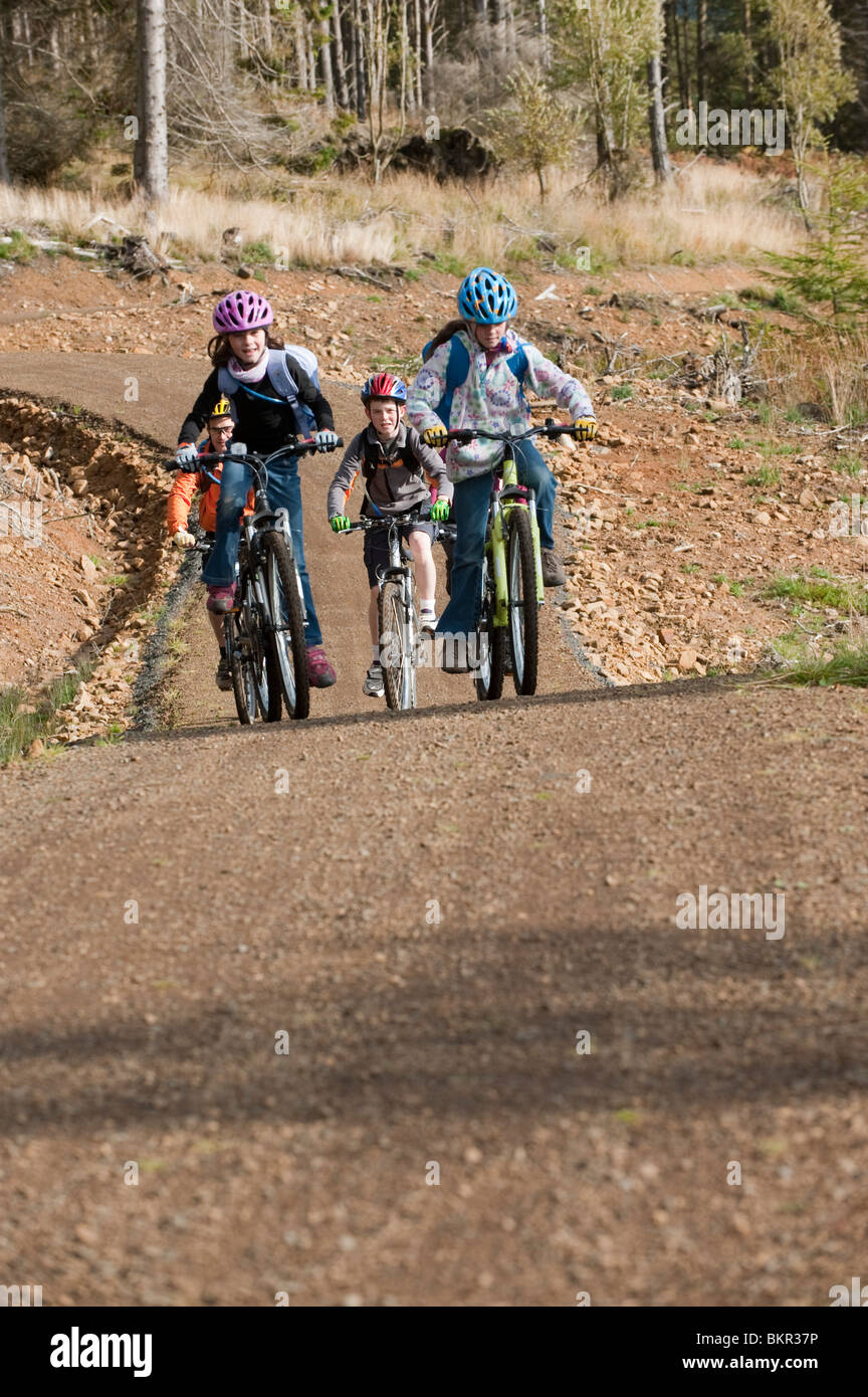Kielder forest cycling hi-res stock photography and images - Alamy
