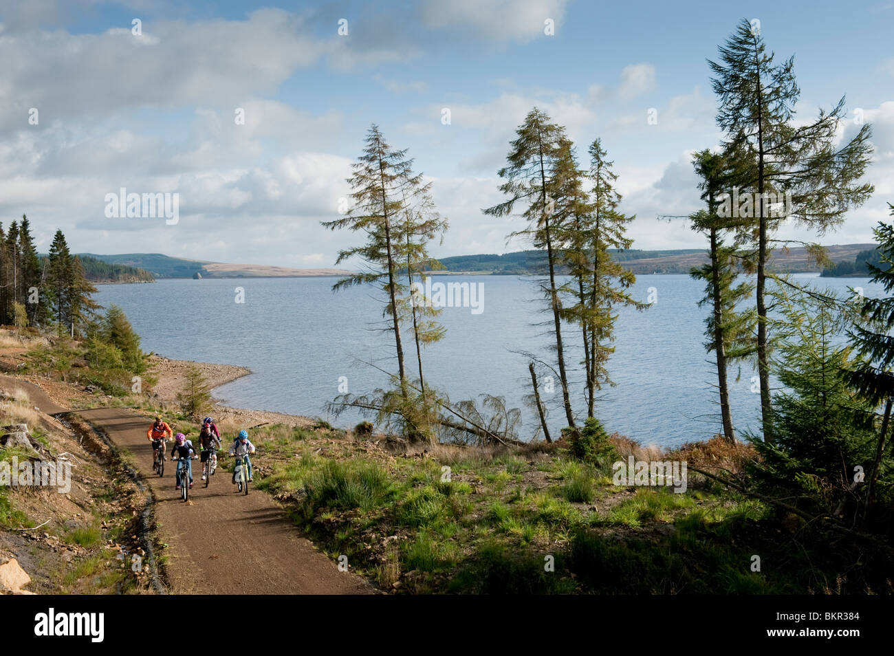 Kielder forest park hi-res stock photography and images - Alamy