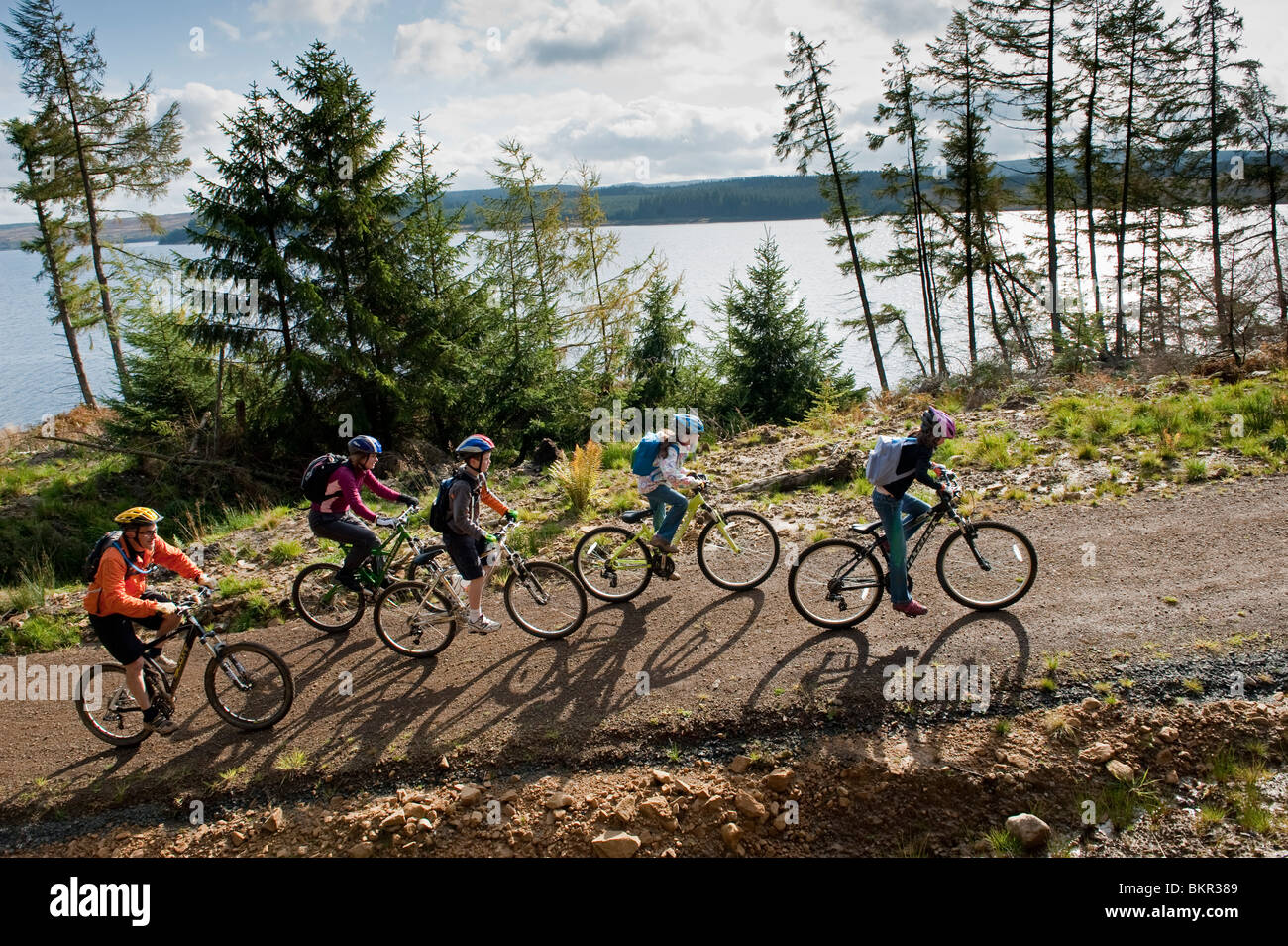 Family cycling along the Lakeside Way, Kielder Water & Forest Park ...