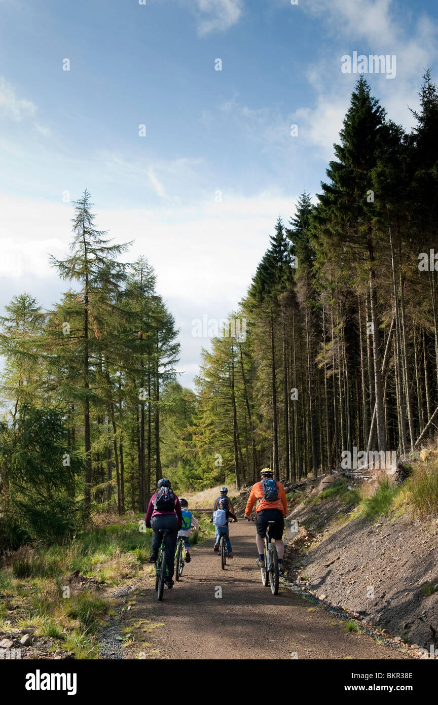Kielder water and forest park hi-res stock photography and images - Alamy