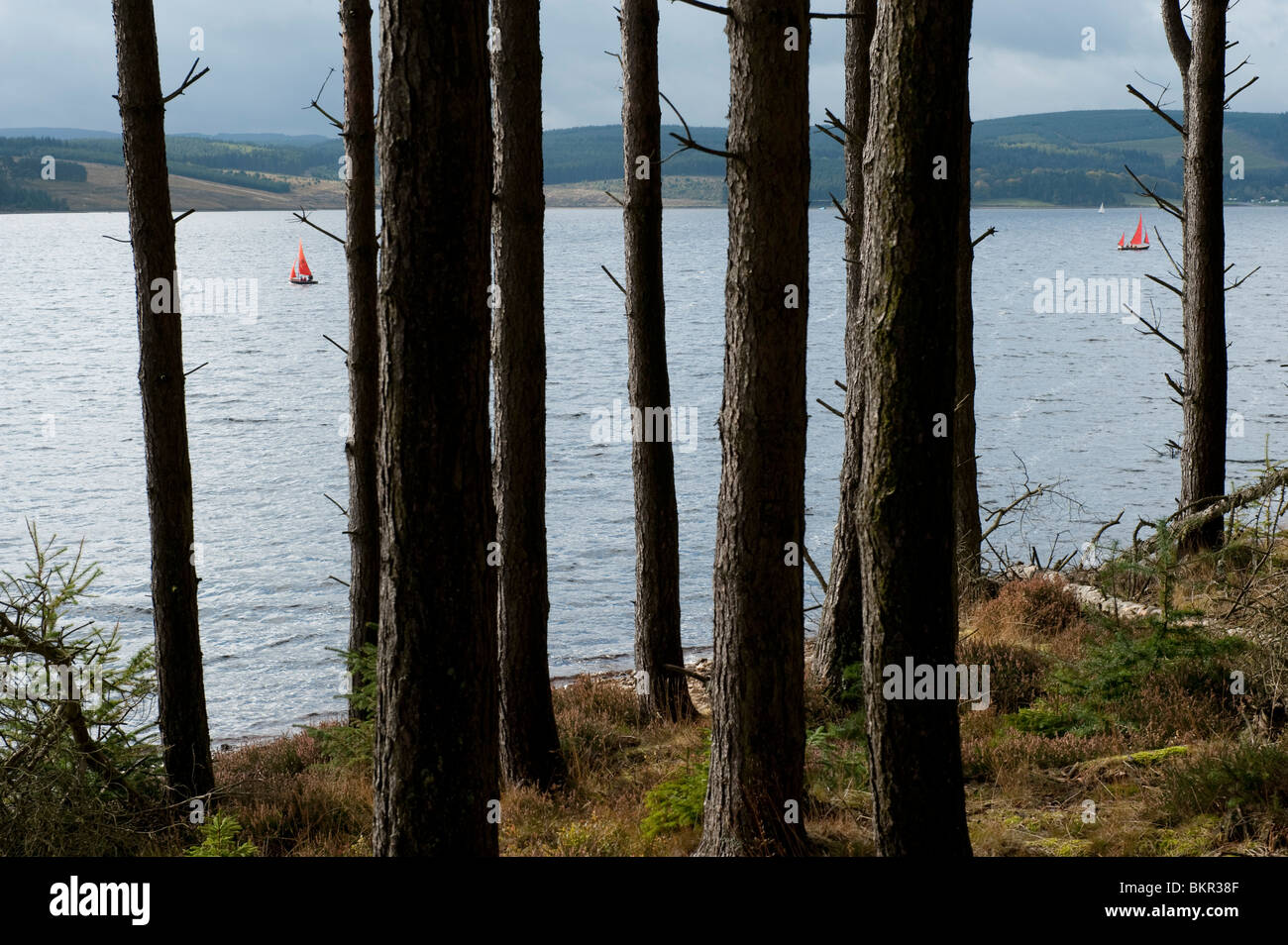 Boating on Kielder Water, Northumberland, England Stock Photo - Alamy