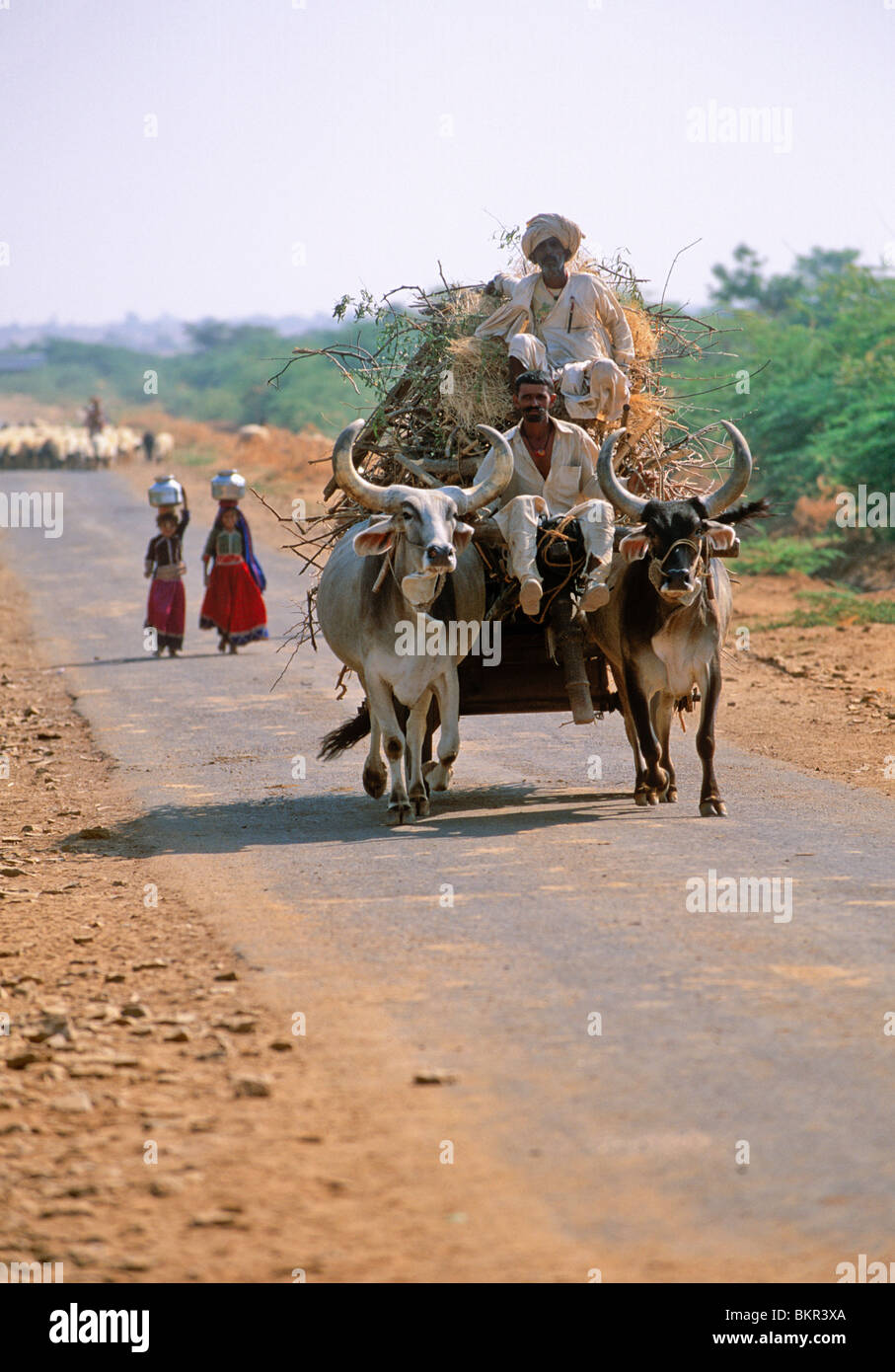 Nomadic Rabari tribesmen, Rann of Kutch, State of Gujarat, India Stock ...