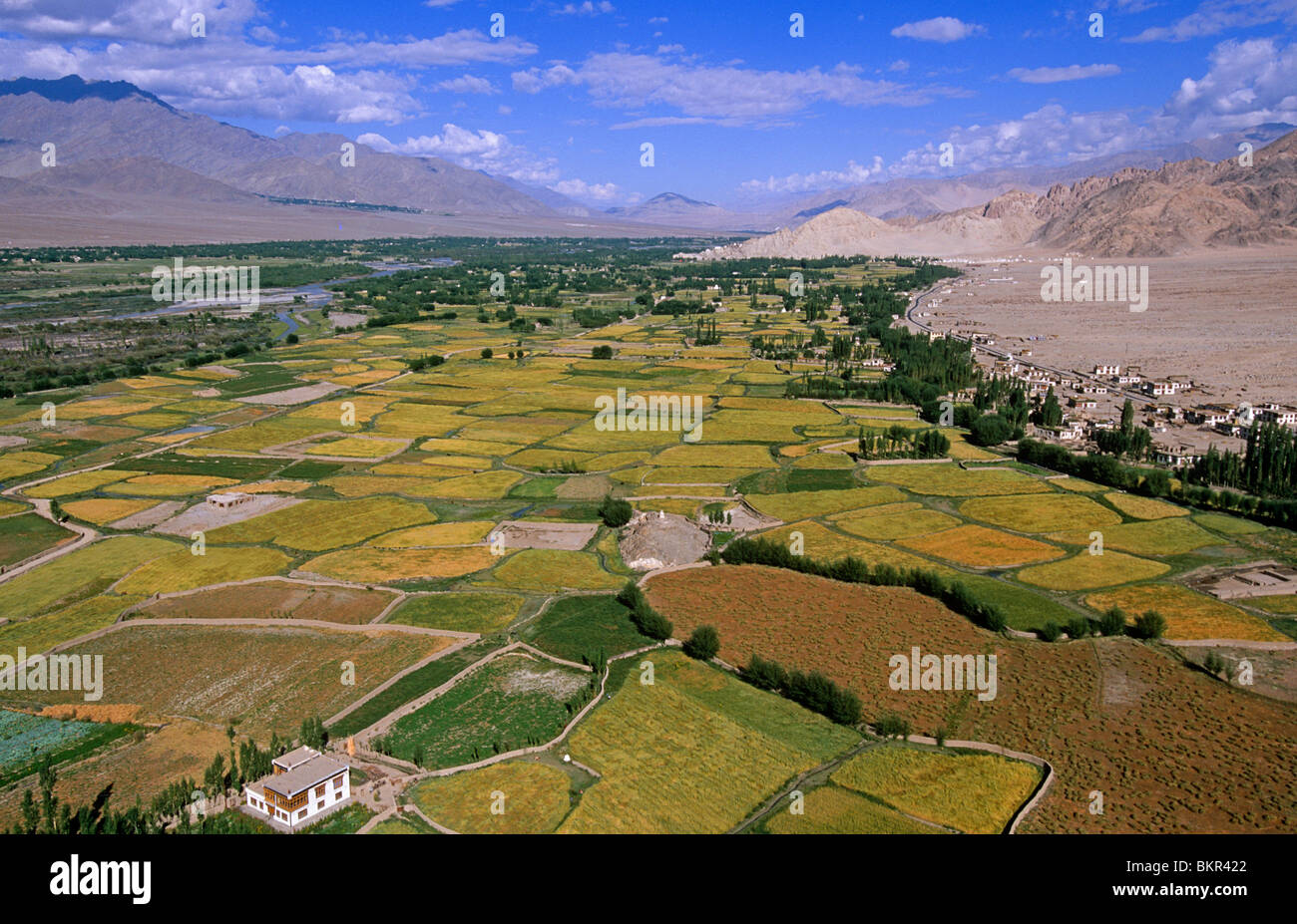 Indus valley view agriculture fields hi-res stock photography and ...
