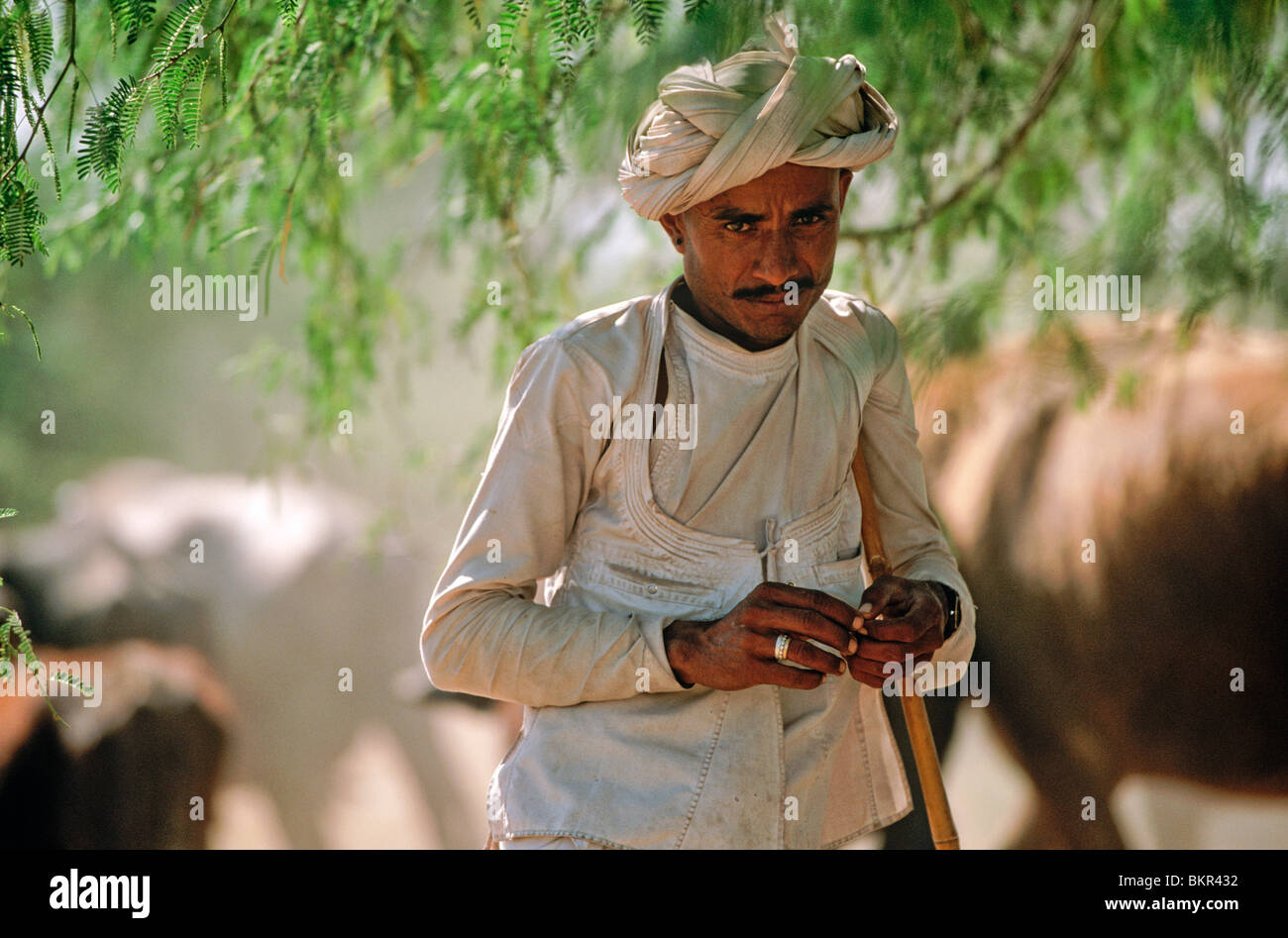 Rabari tribesman hi-res stock photography and images - Alamy