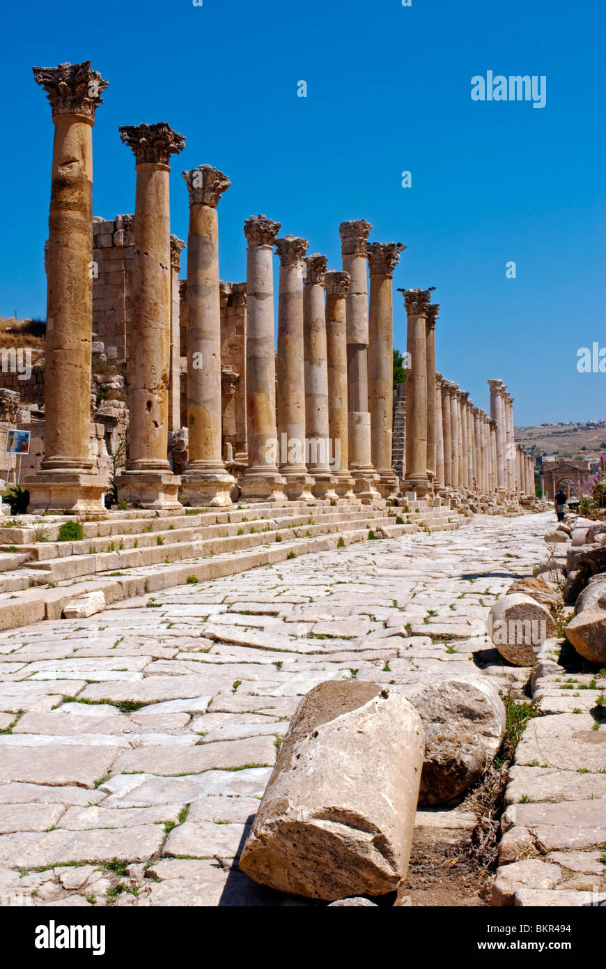 Jerash roman pillars hi-res stock photography and images - Alamy