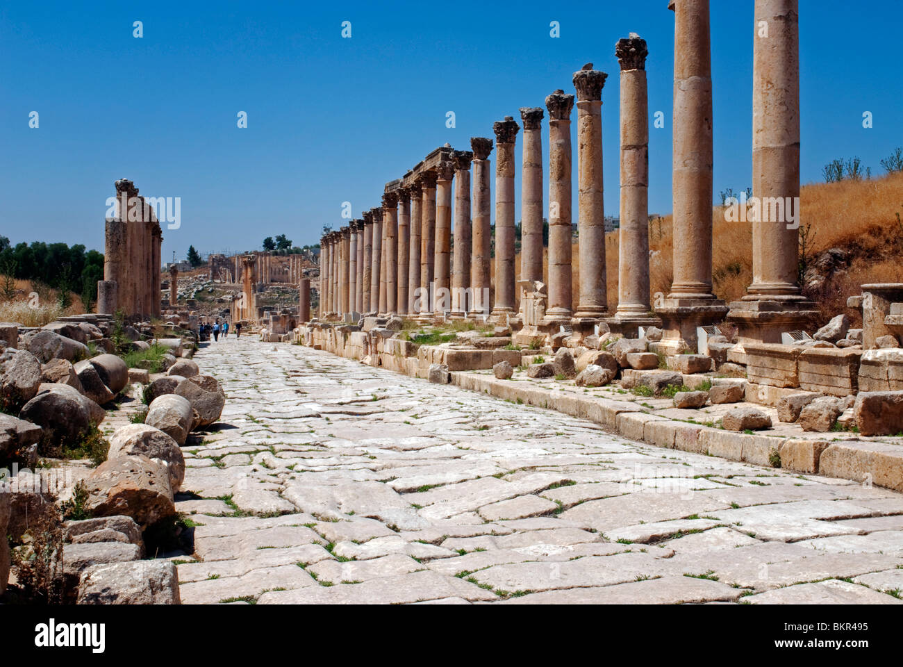 Jordan, Jerash. The Cardo Maximus Stock Photo - Alamy