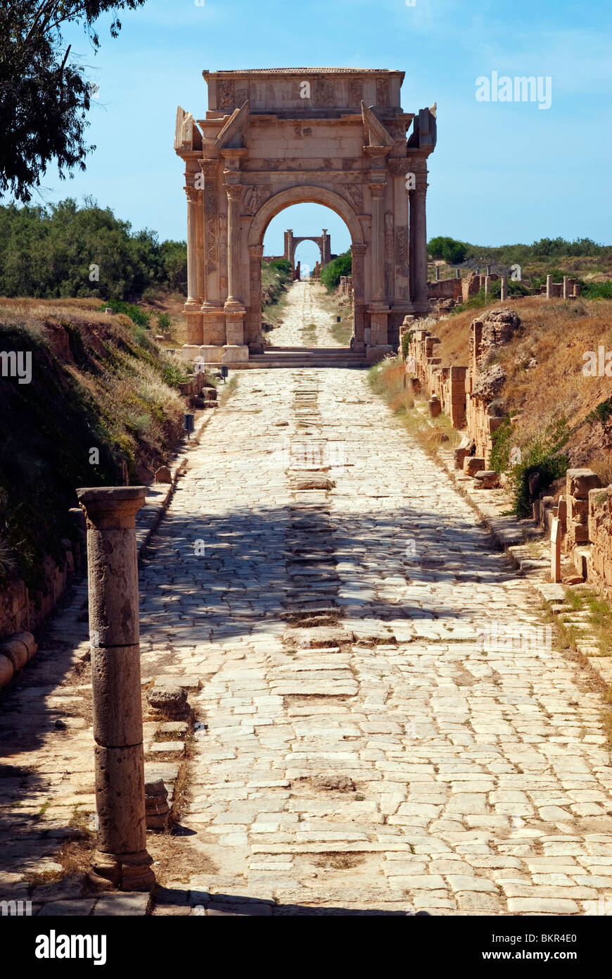 Leptis magna mosaic hi-res stock photography and images - Alamy