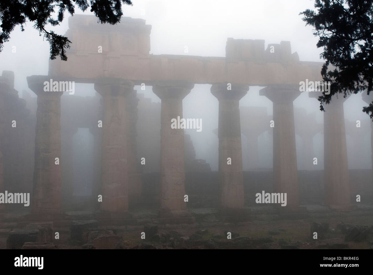 Libya, Cyrene. The temple of Zeus Stock Photo - Alamy