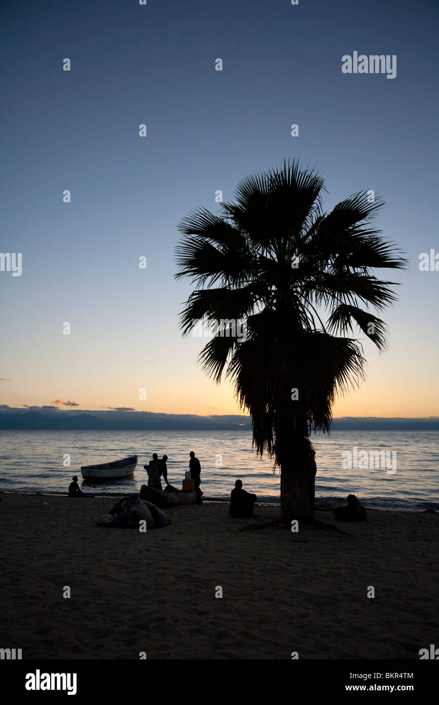 Monkey bay malawi hi-res stock photography and images - Alamy