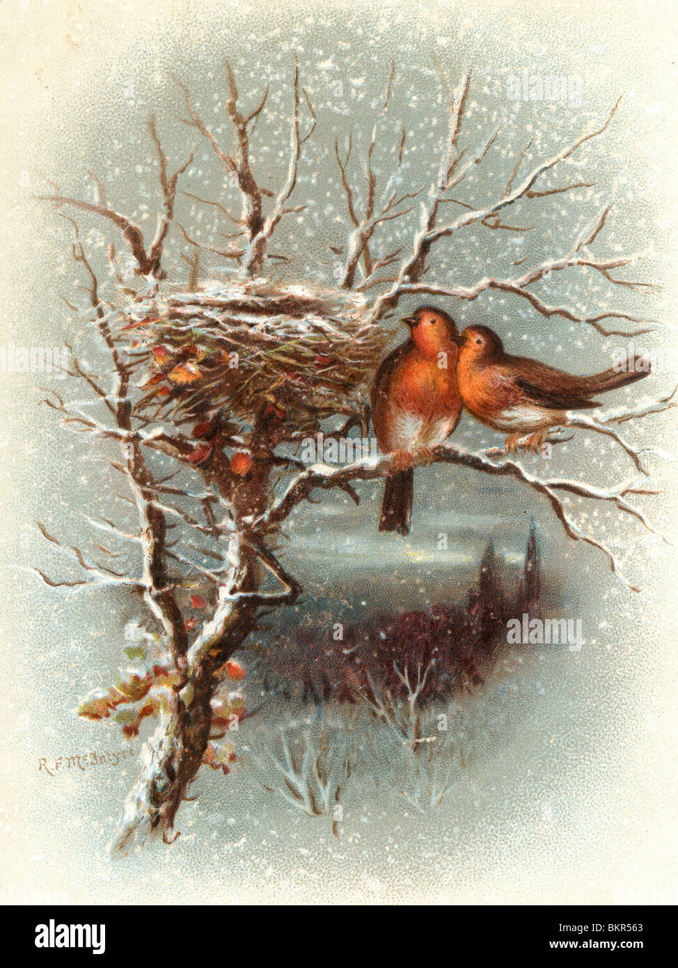 Robin christmas card hi-res stock photography and images - Alamy