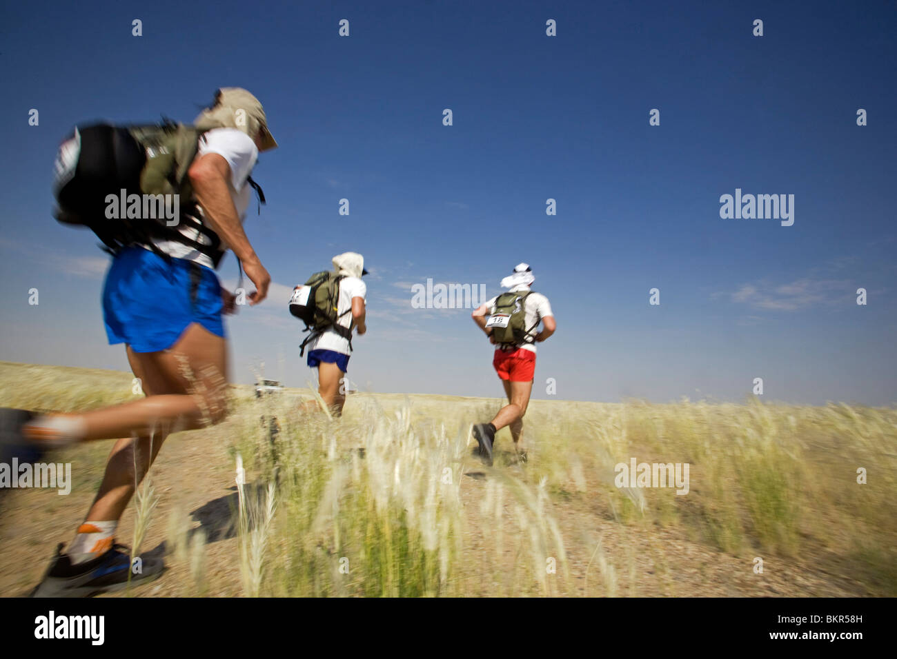 Namibia, Namib Desert, runners compete in the Namibia Ultra Marathon ...