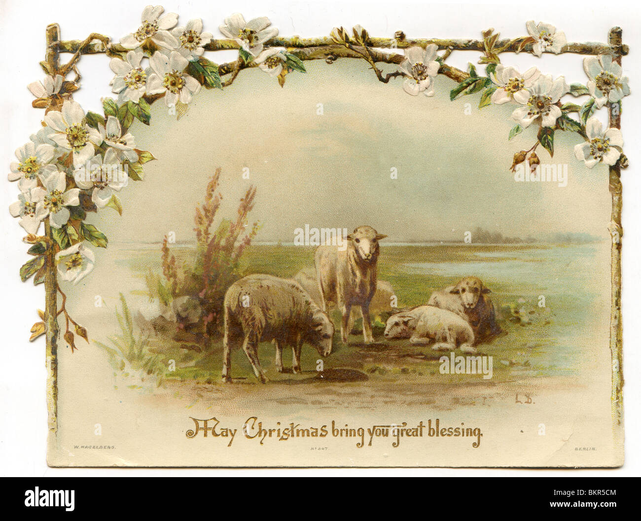 Victorian lamb hi-res stock photography and images - Alamy