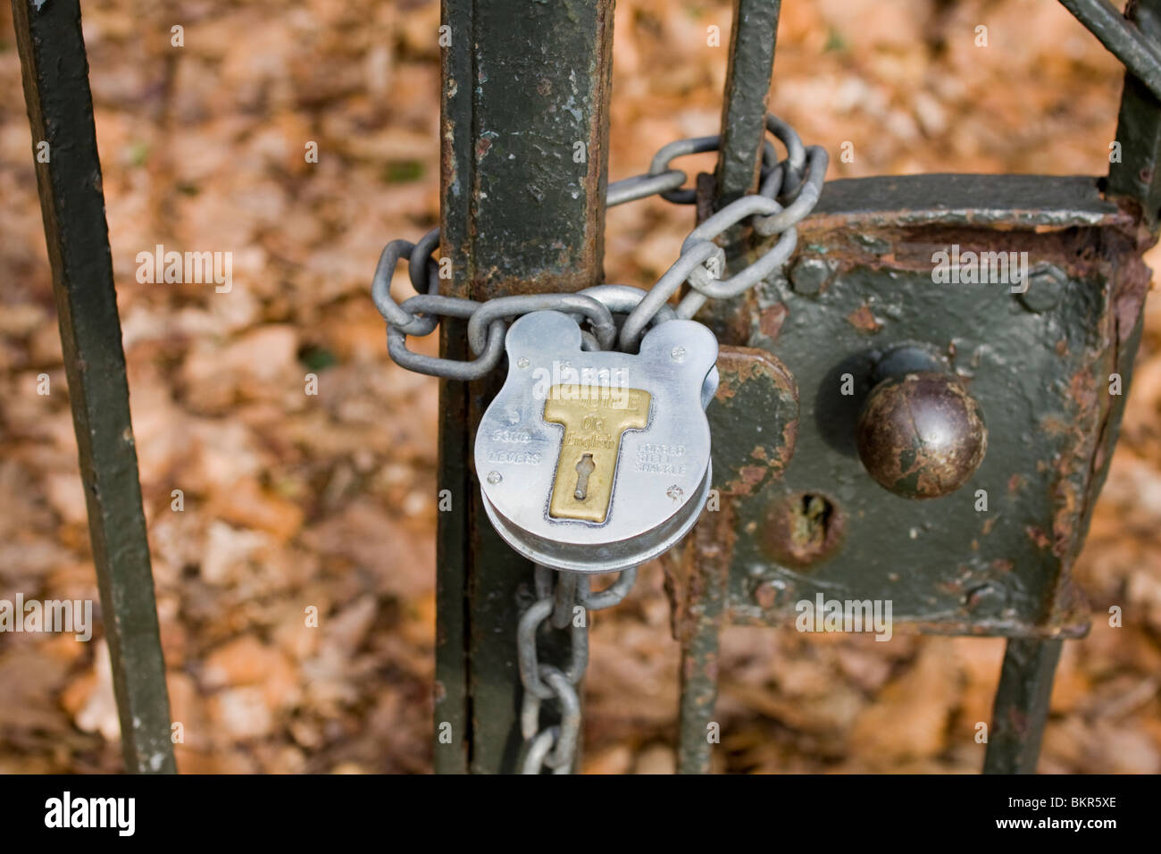 Padlock and chain Stock Photo - Alamy