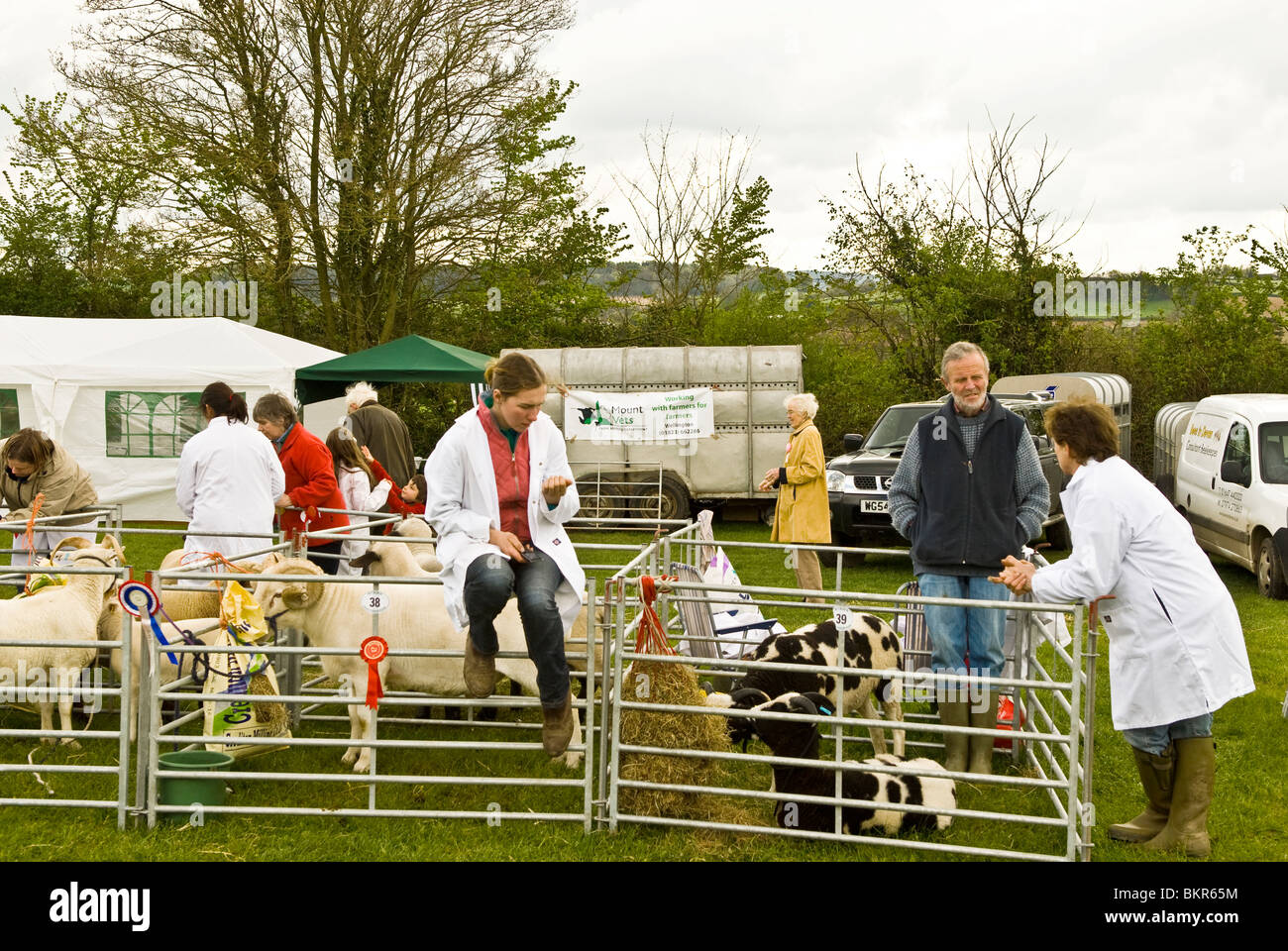 country county show with farmers standing and sitting round live stock ...