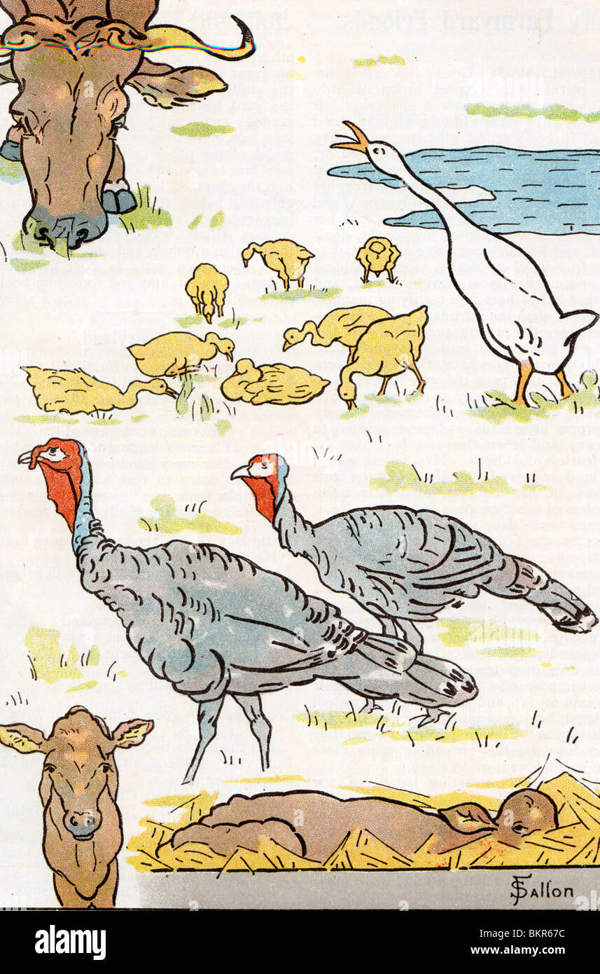 My Farmyard Friends Stock Photo - Alamy